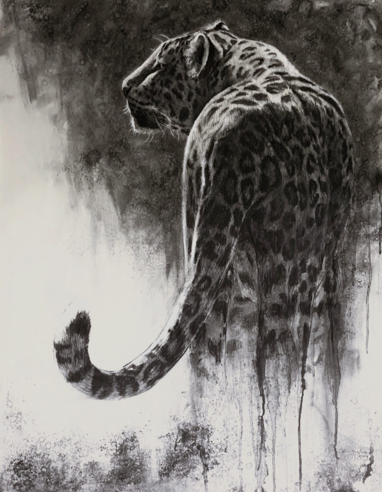 Original Artwork by Daniel Wilson and Amber Tyldesley - Studio Wildlife