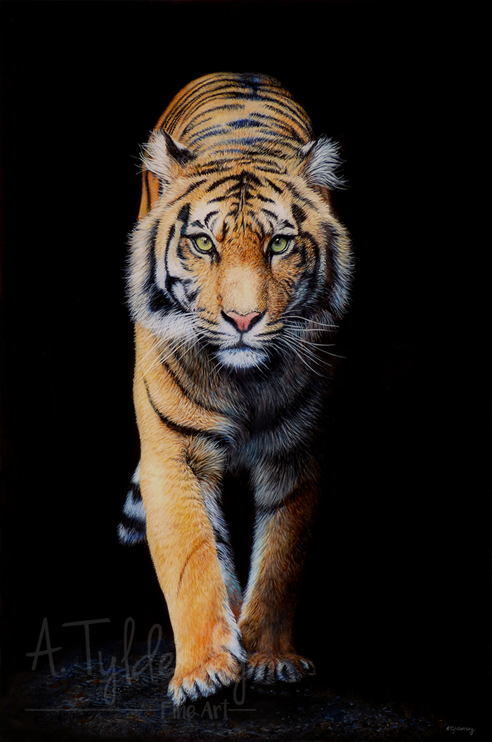 The Ultimate Colour Guide for Painting Tigers - Studio Wildlife