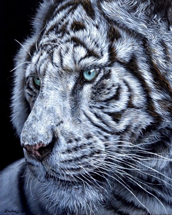 The Ultimate Colour Guide for Painting Tigers - Studio Wildlife