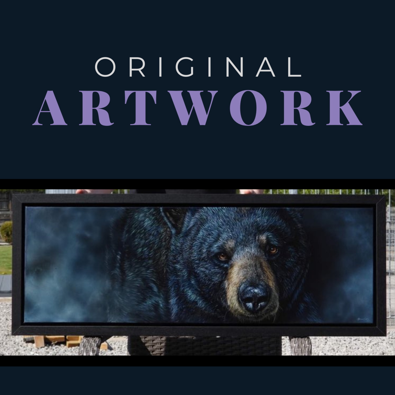 Studio Wildlife - Studio Wildlife