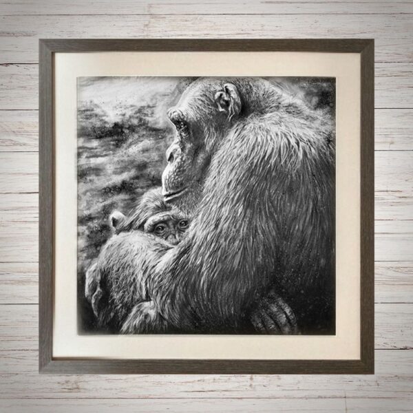 Original Artwork by Daniel Wilson - Studio Wildlife
