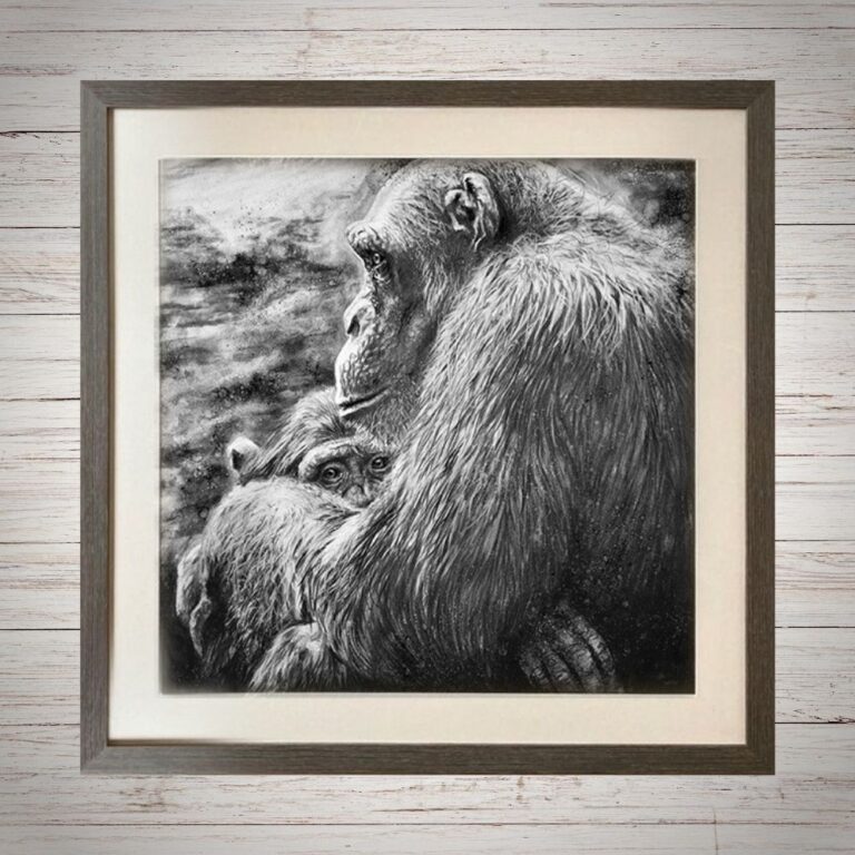 Original Artwork by Daniel Wilson - Studio Wildlife