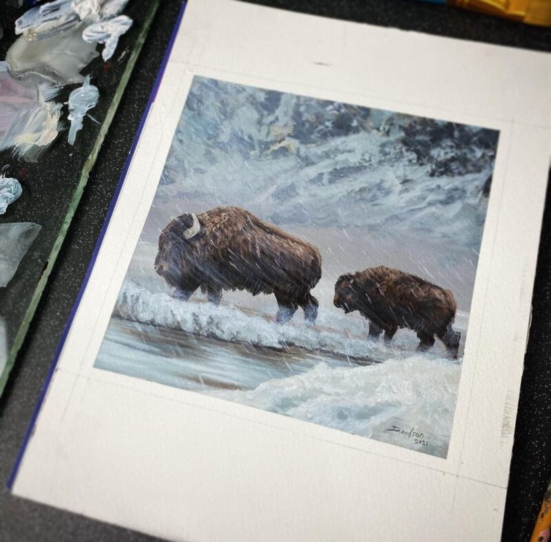 Understand This if You Want to Paint on Paper - Studio Wildlife