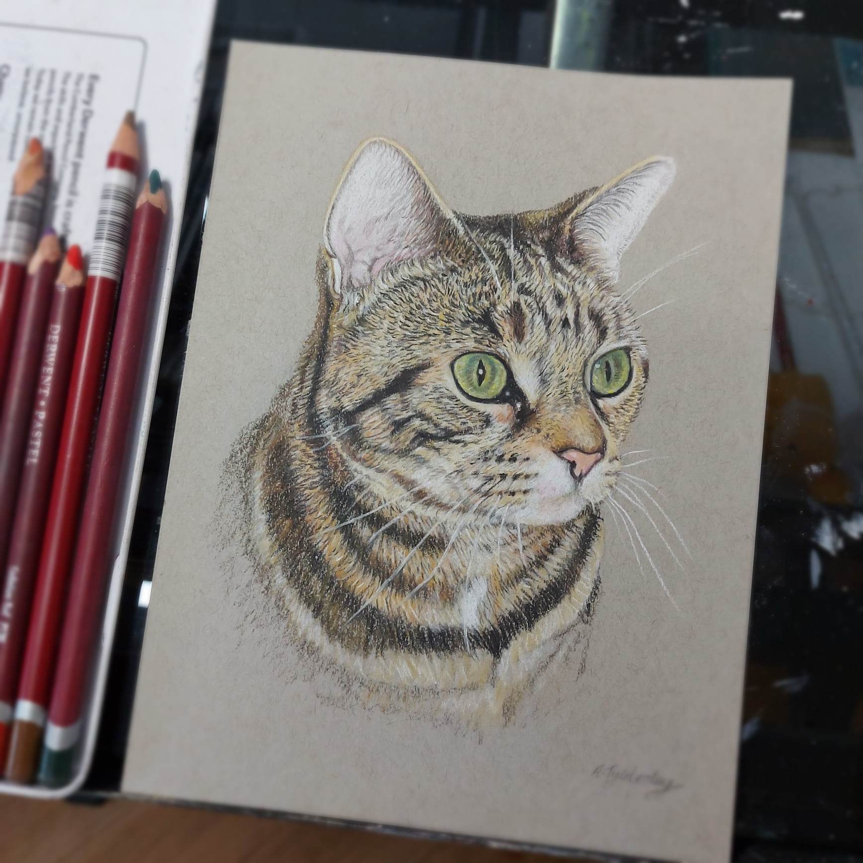 Hairspray on your Drawings? You need to know this - Studio Wildlife