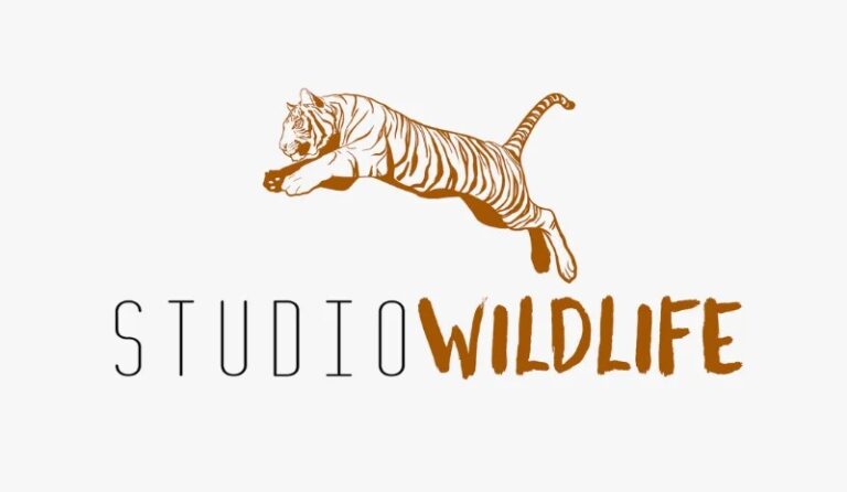 Patreon - Studio Wildlife