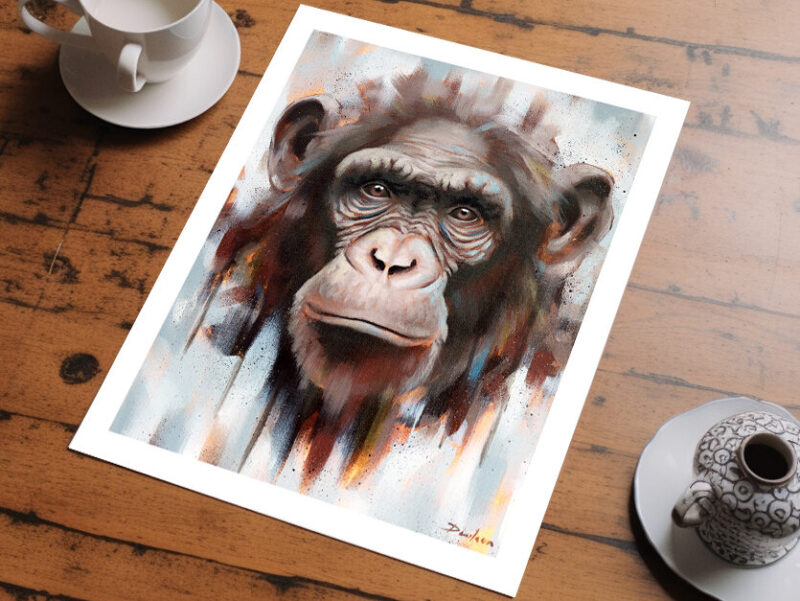 Studio Wildlife - Studio Wildlife