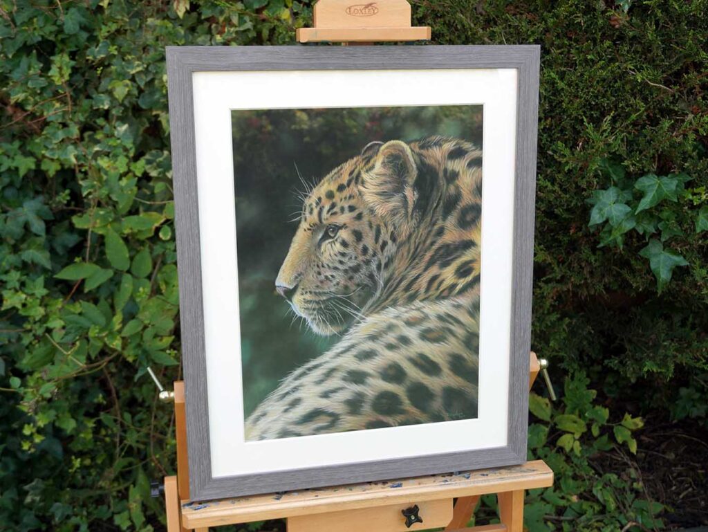 'You've Been Spotted' Original Pastel Painting - Studio Wildlife