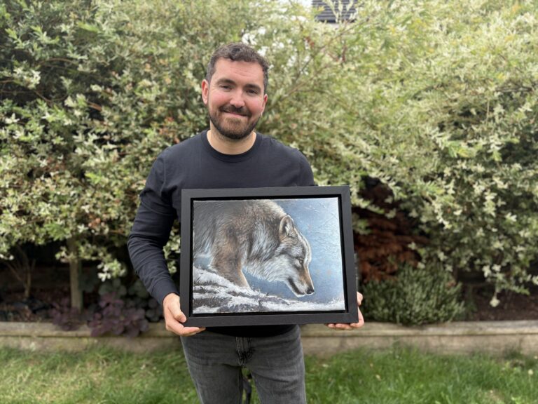 Original Paintings Archives - Studio Wildlife